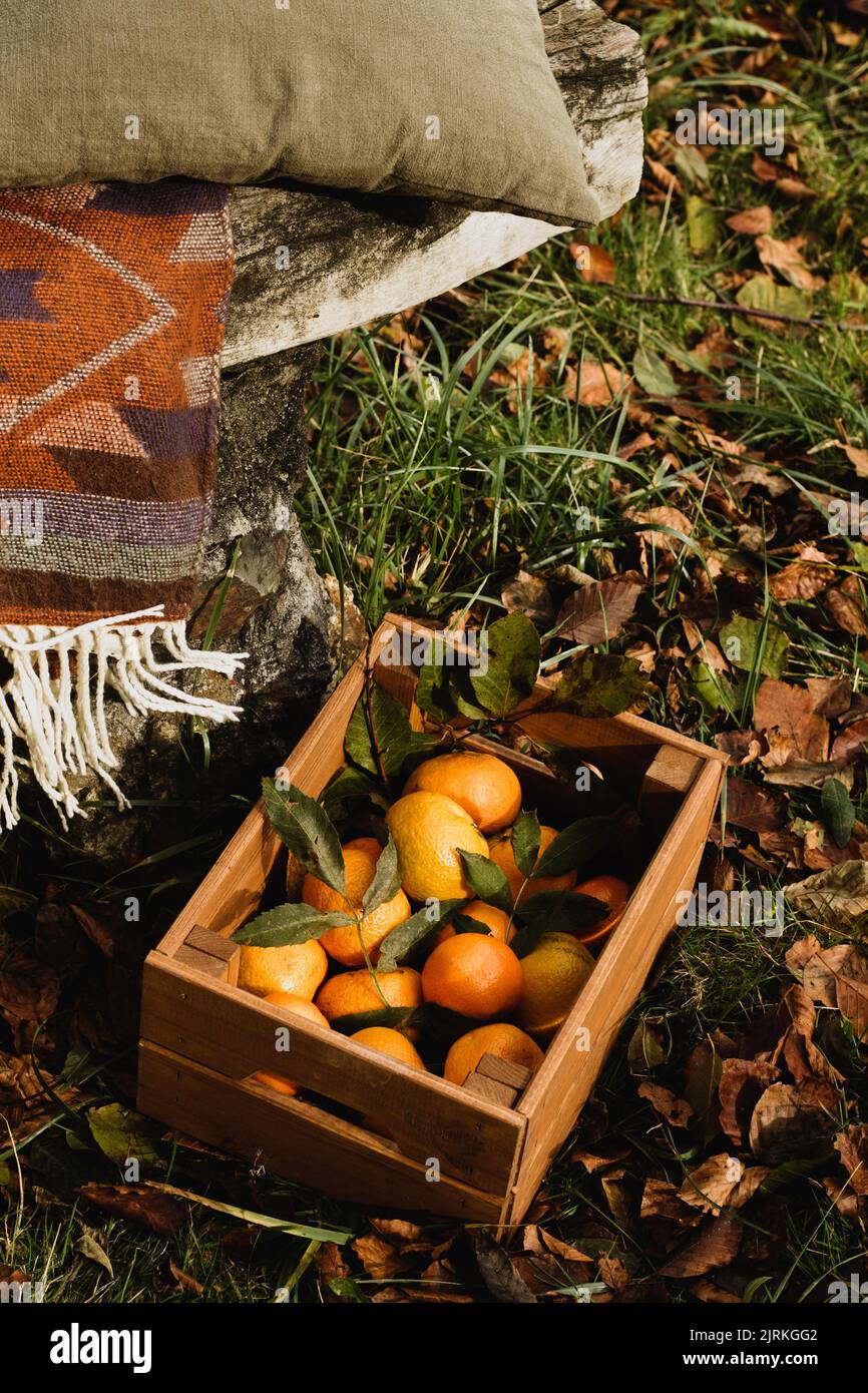 From above brown wooden crate with ripe juicy vivid oranges in ...