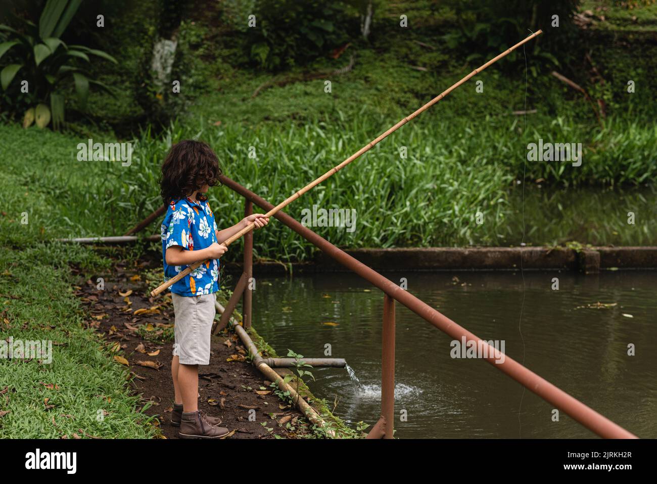 Side view of calm boy in casual clothes standing on shore near pond and ...