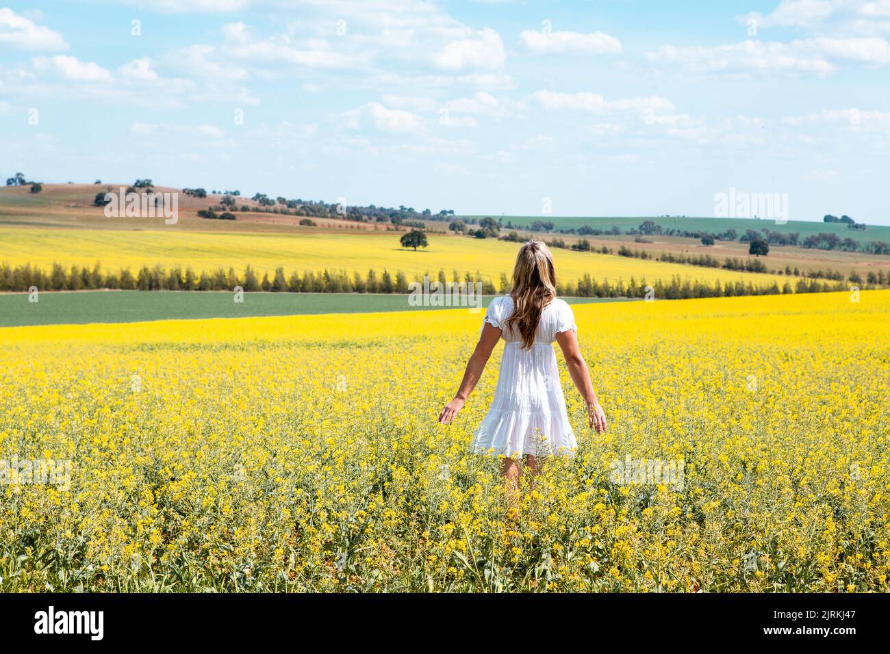 Woman wanders in fields of flowers. She is wearing a simple white ...