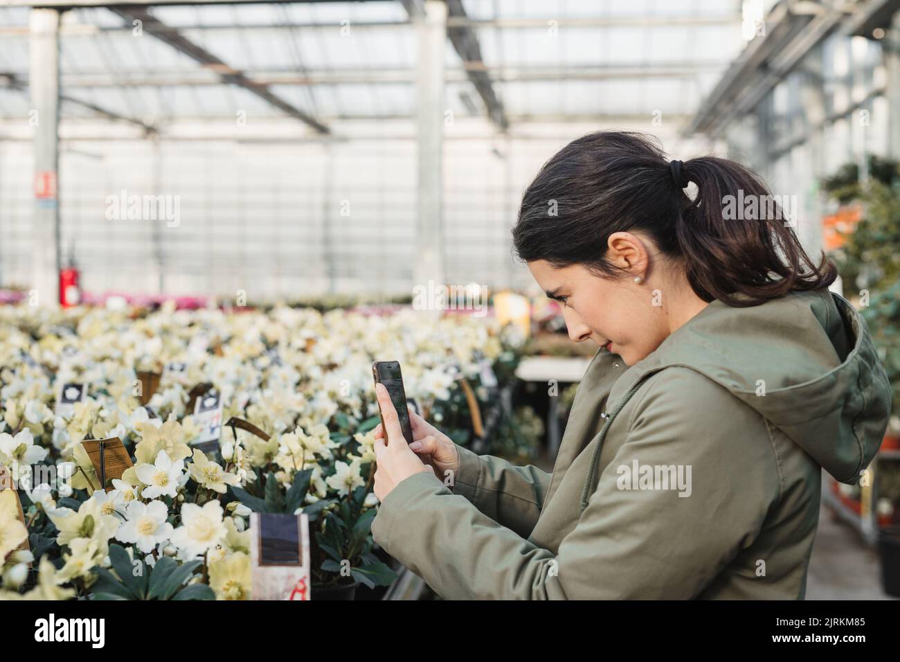 Side view of calm diligent florist taking shot with smartphone of fresh ...