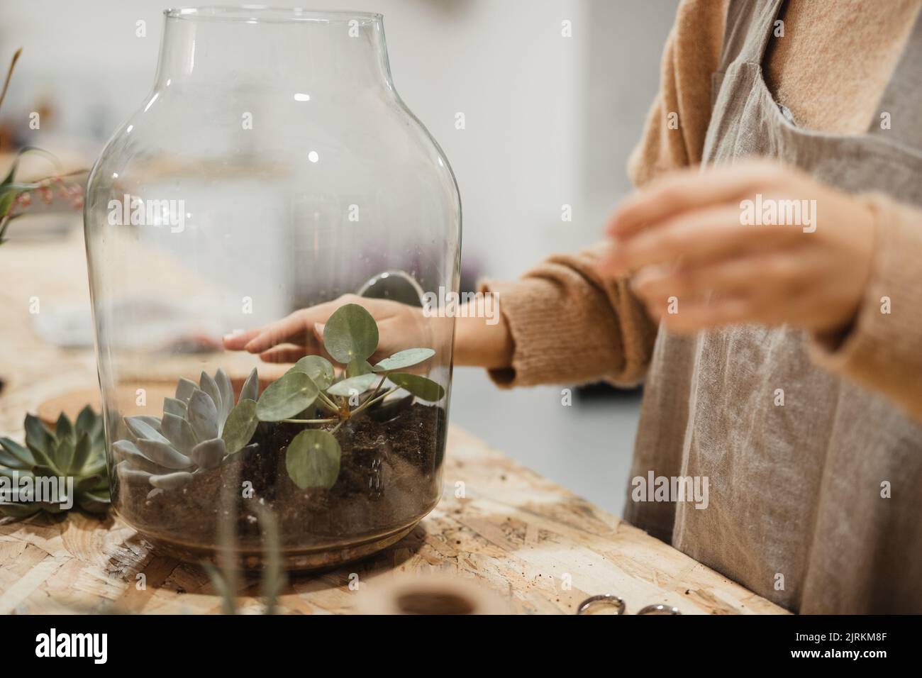 High angle of tranquil adult woman in casual clothes and gray apron ...