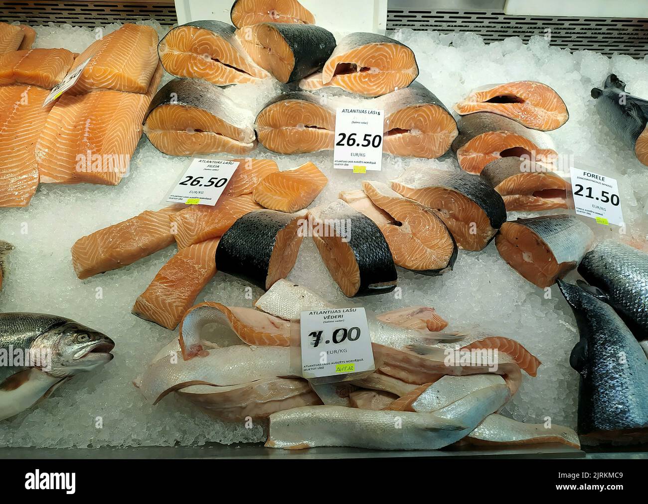 Fish pavilion of the Central Market in Riga. Chilled salmon and trout ...