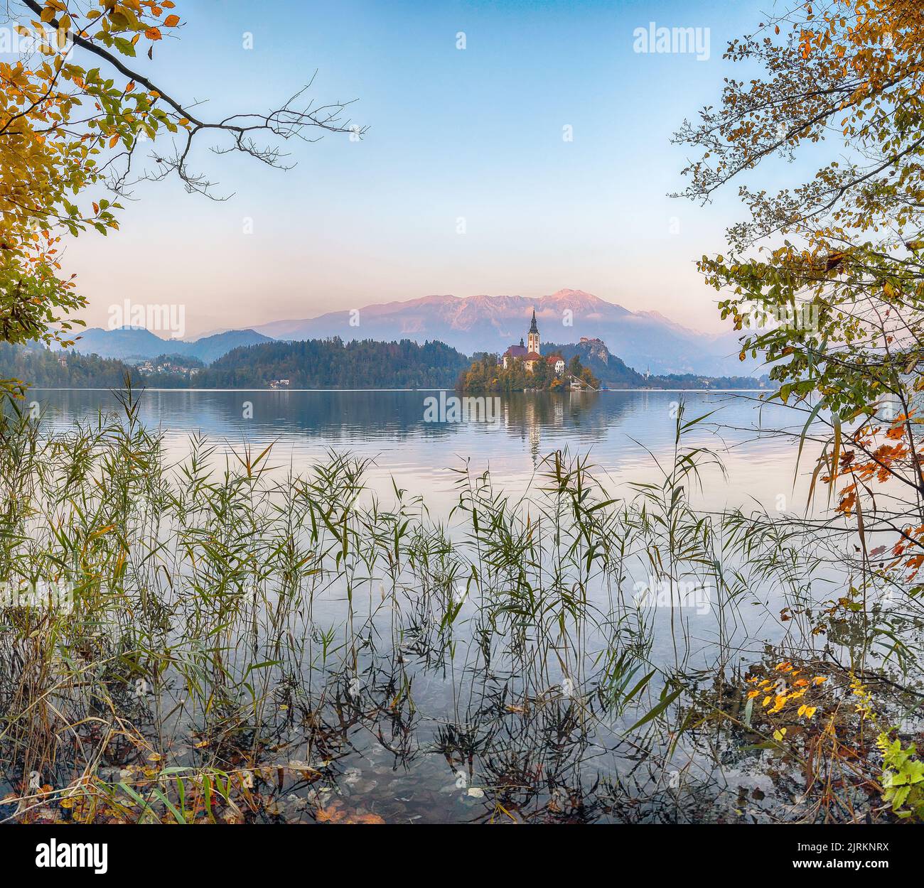 Amazing sunset over popular tourist destination Bled lake. Dramatic ...