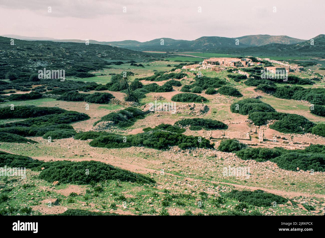 Acropolis at Itanus (Itanos) Archaeological Site in Crete, the largest ...