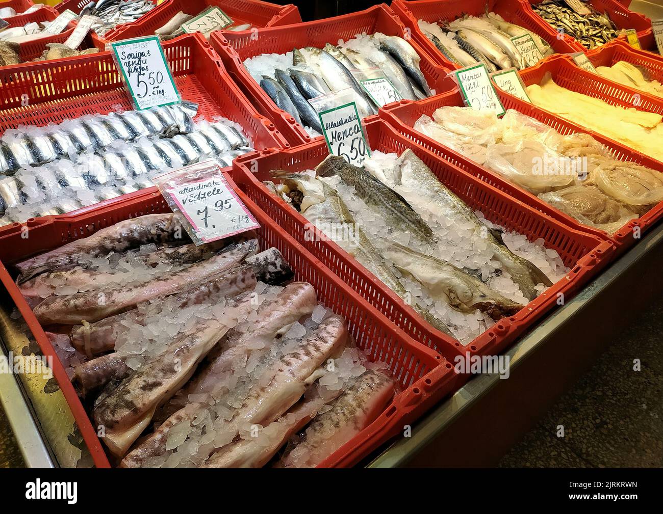 Fish pavilion of the Central Market in Riga. Chilled fish Stock Photo ...