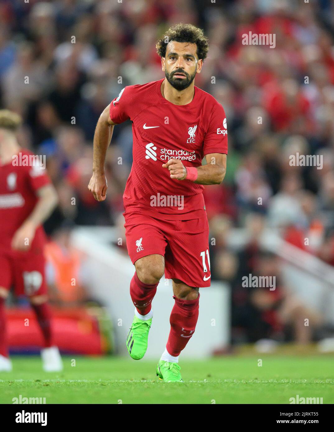 15 aug 2022 liverpool hi-res stock photography and images - Alamy
