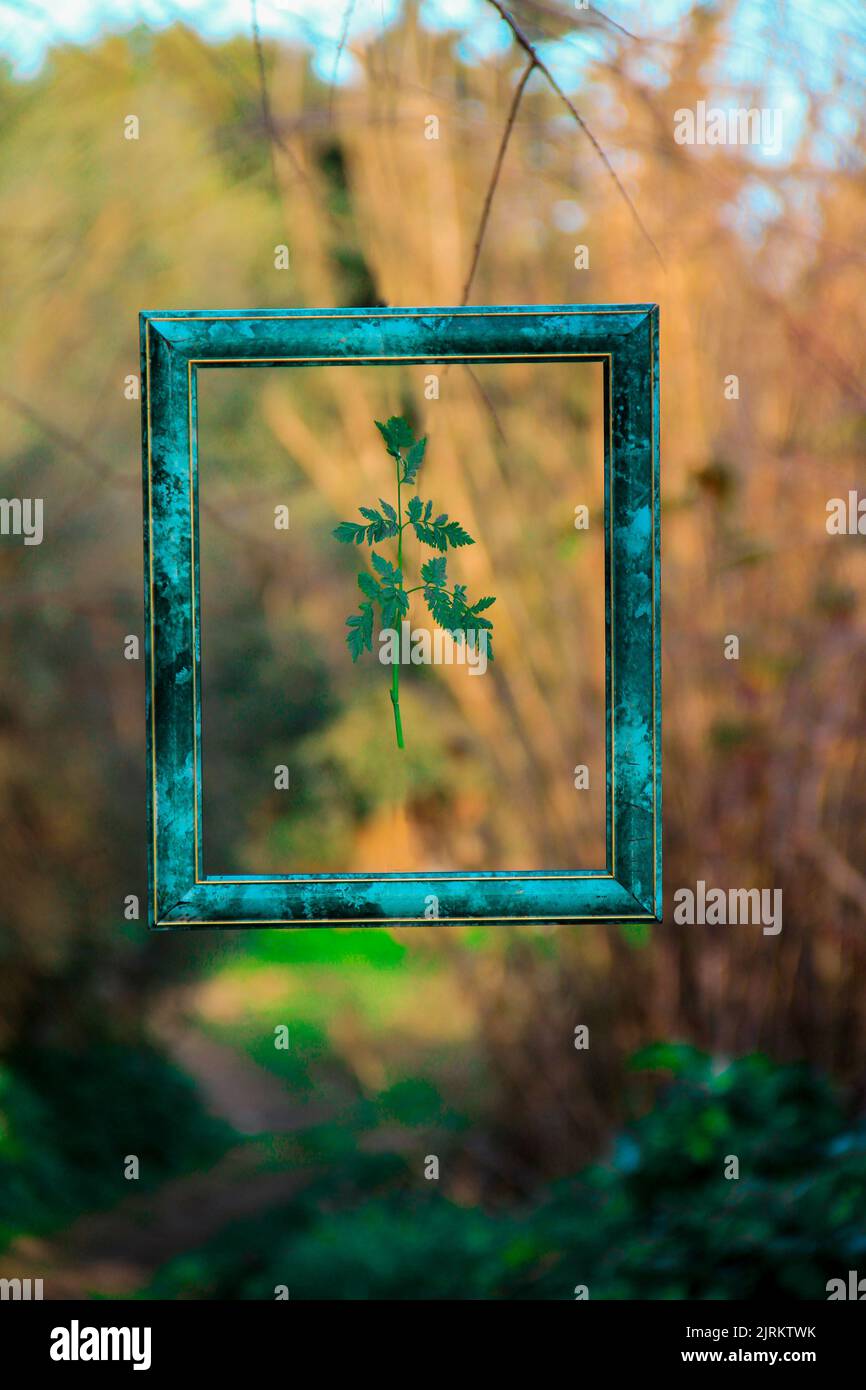 Empty middle picture hi-res stock photography and images - Alamy