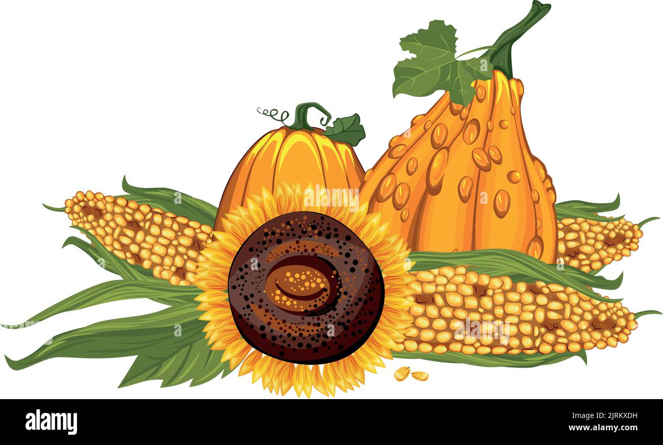 Thanksgiving Corn Clipart