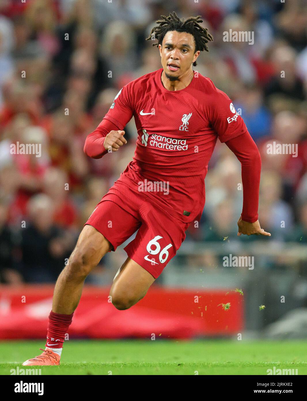 Liverpool Fc 2022 15
