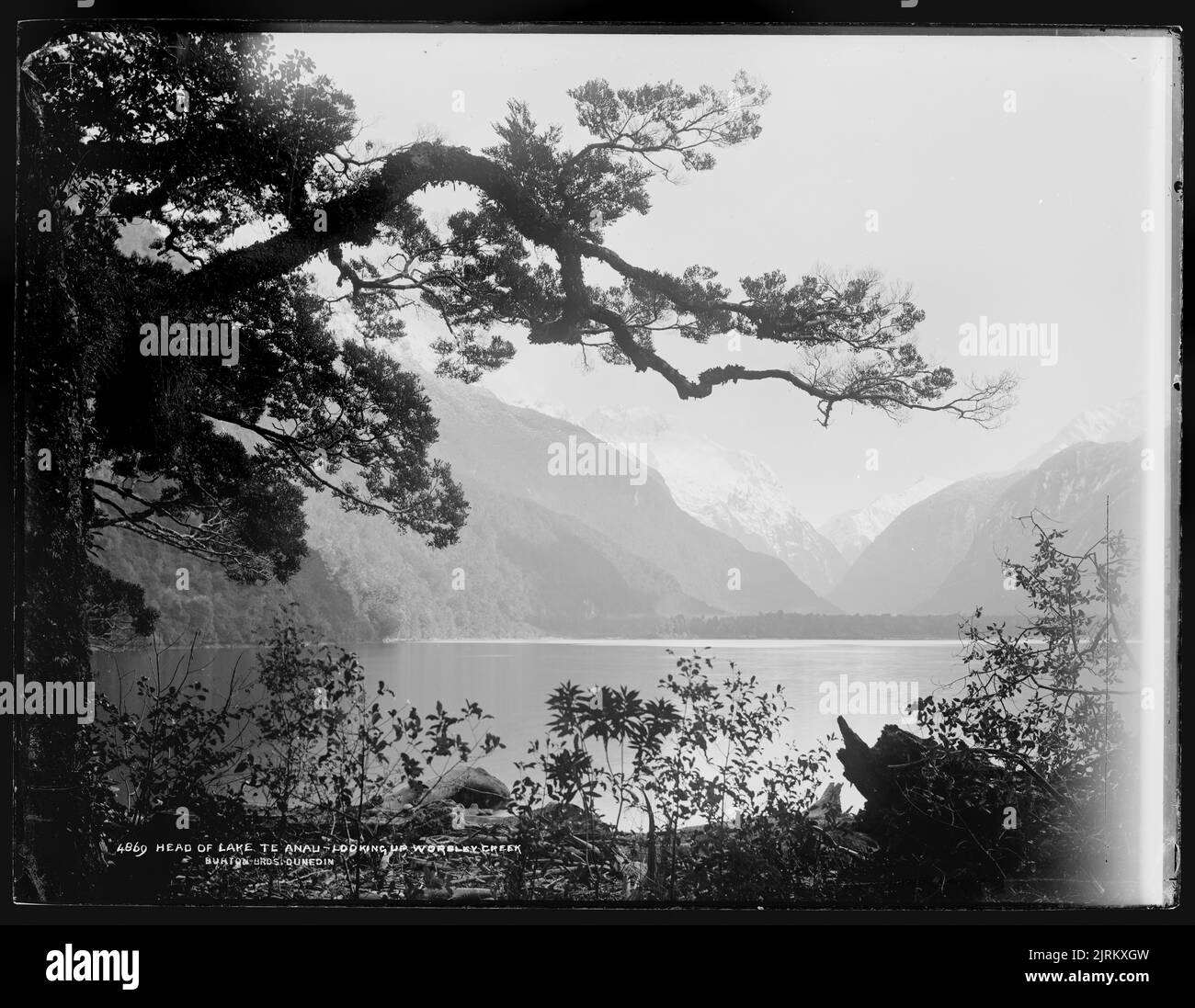 Head of Lake Te Anau, looking up Worsley Creek, 1889, Dunedin, by ...