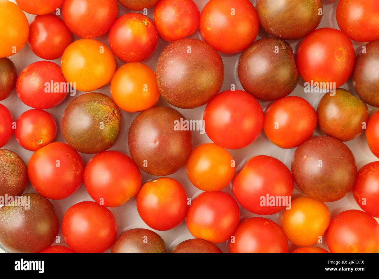 Top down view of a variety of fresh, organic, different color and size ...