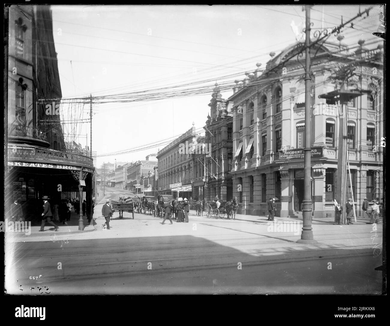 [Shortland Street], circa 1905, Dunedin, by Muir & Moodie Stock Photo ...