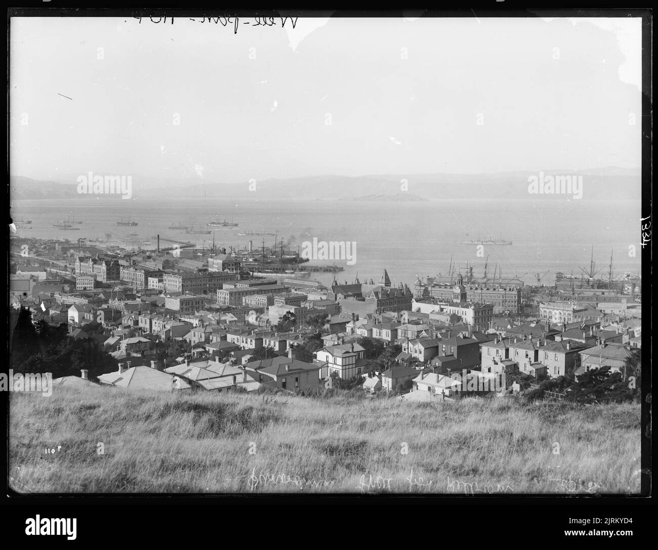 Panorama of dunedin Black and White Stock Photos & Images - Alamy