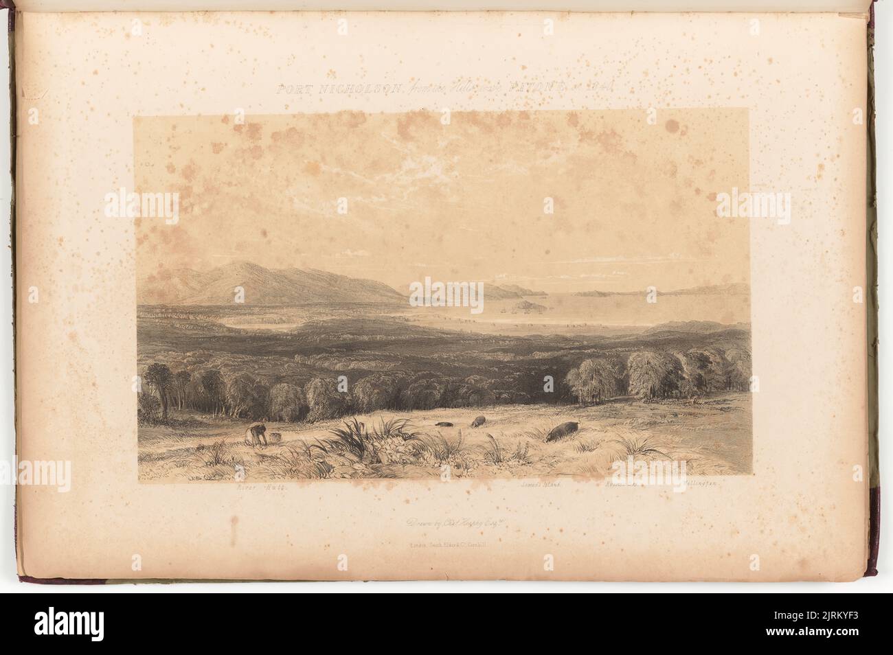 Port Nicholson from the hills above Pitone in 1840. Plate 3. From the ...