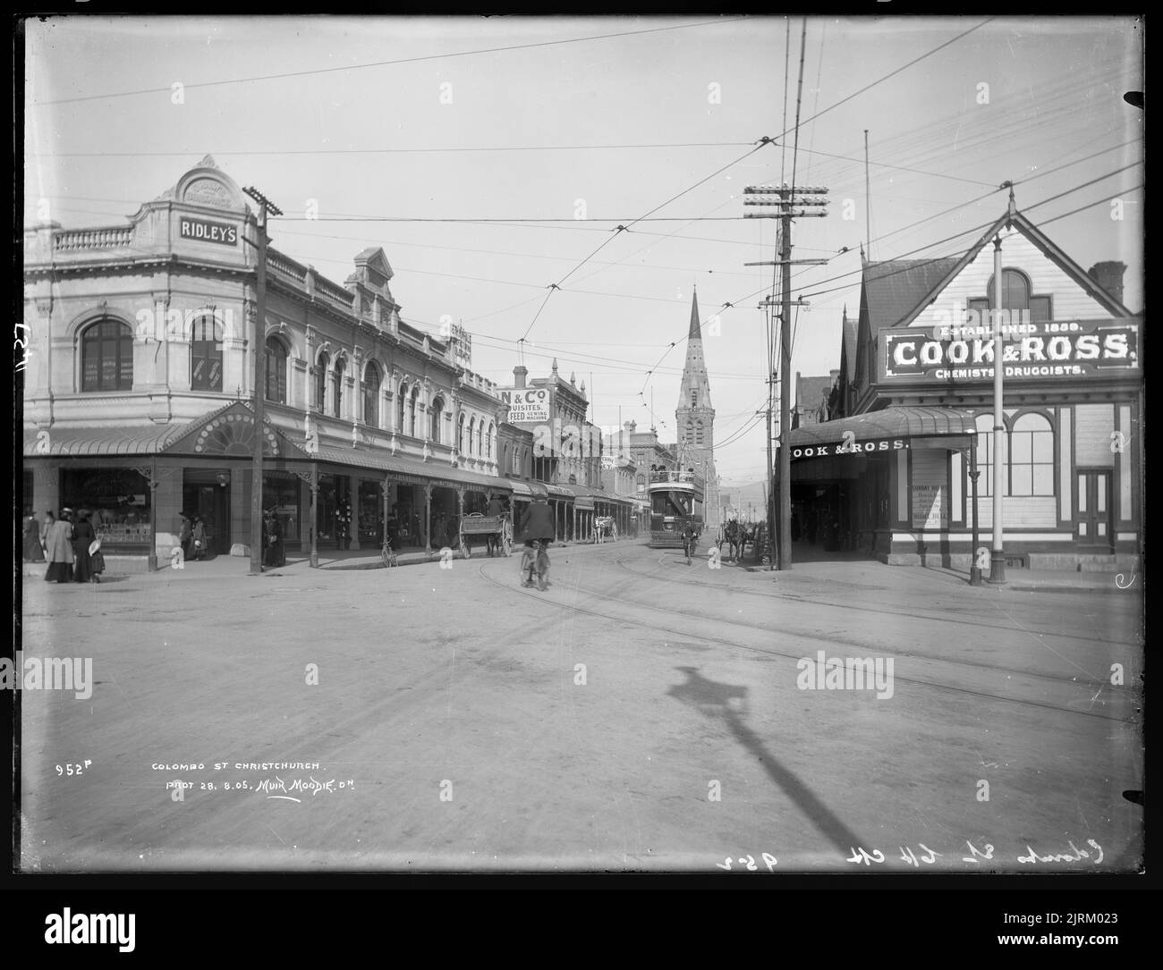 Colombo Street, Christchurch, circa 1905, New Zealand, by Muir & Moodie Stock Photo - Alamy
