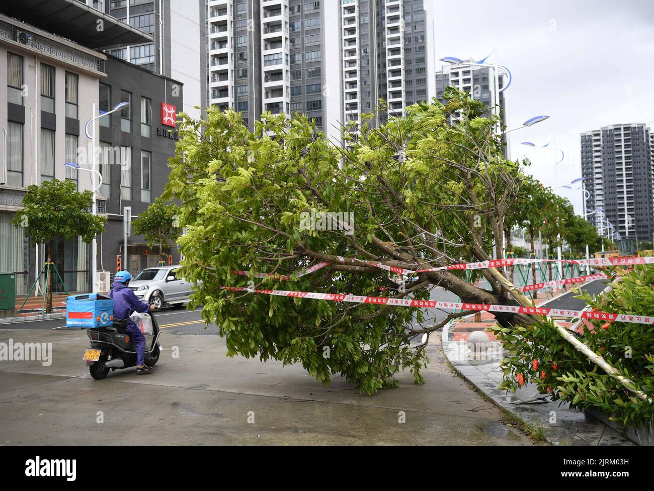 (220825) -- GUANGZHOU, Aug. 25, 2022 (Xinhua) -- A deliveryman passes ...