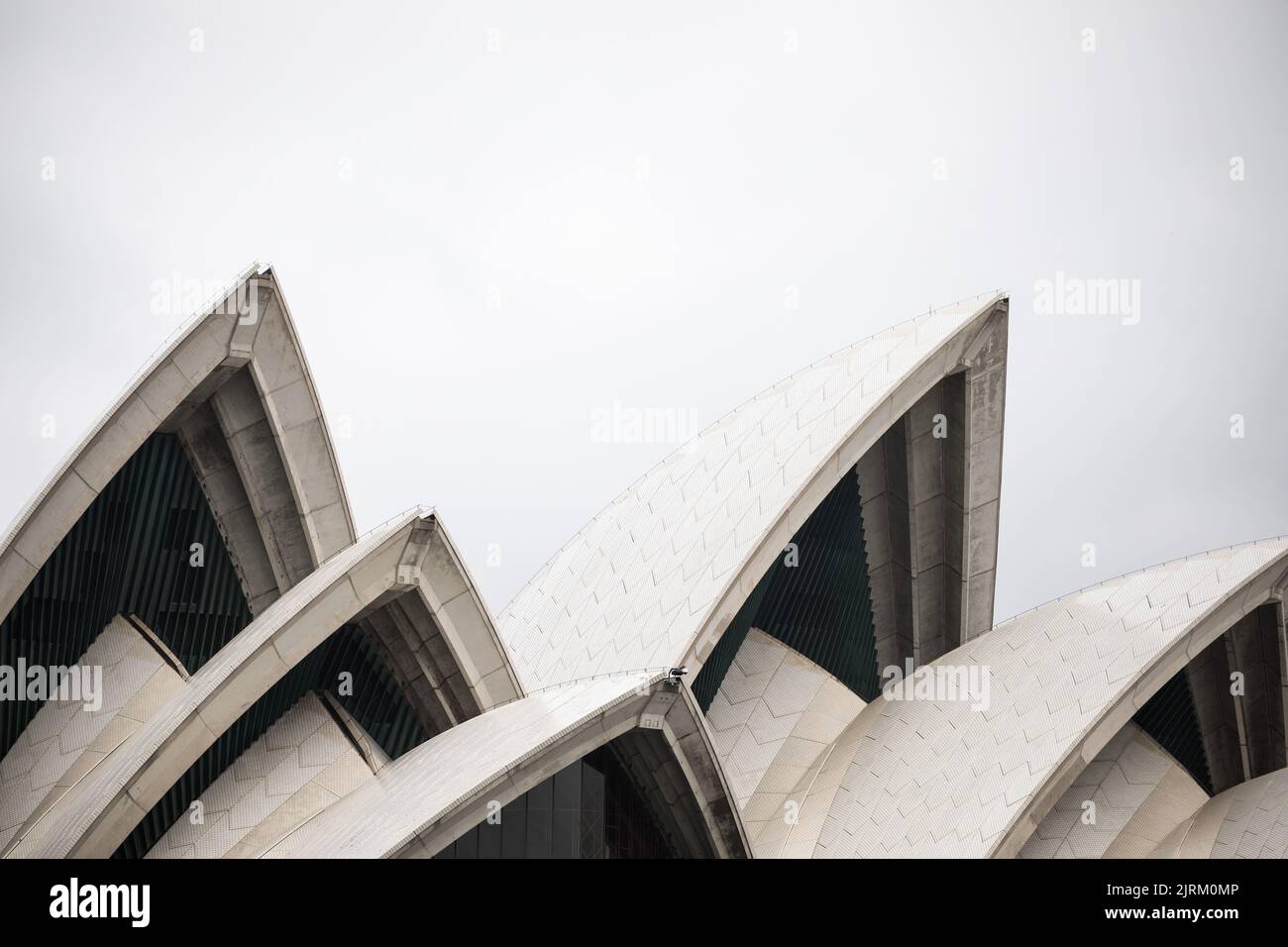 A closeup of Sydney Opera House shells in Australia Stock Photo - Alamy