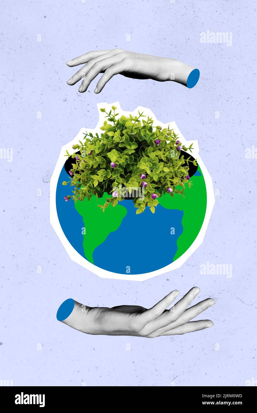 Safe people earth concept collage of two hands helping forest ecosystem ...