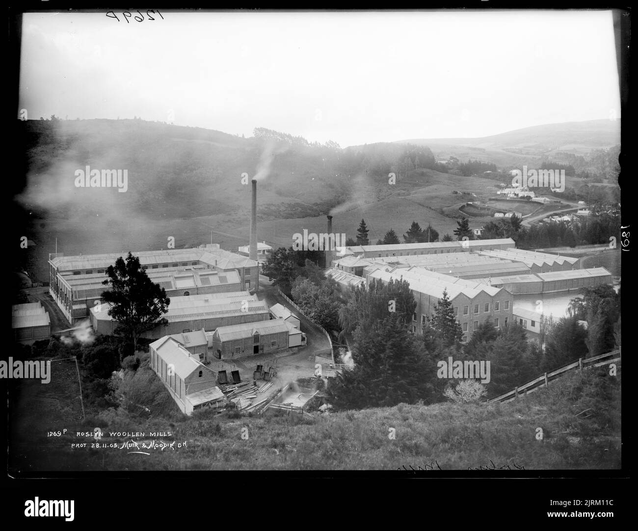 Roslyn Woollen Mills, circa 1905, Dunedin, by Muir & Moodie Stock Photo ...