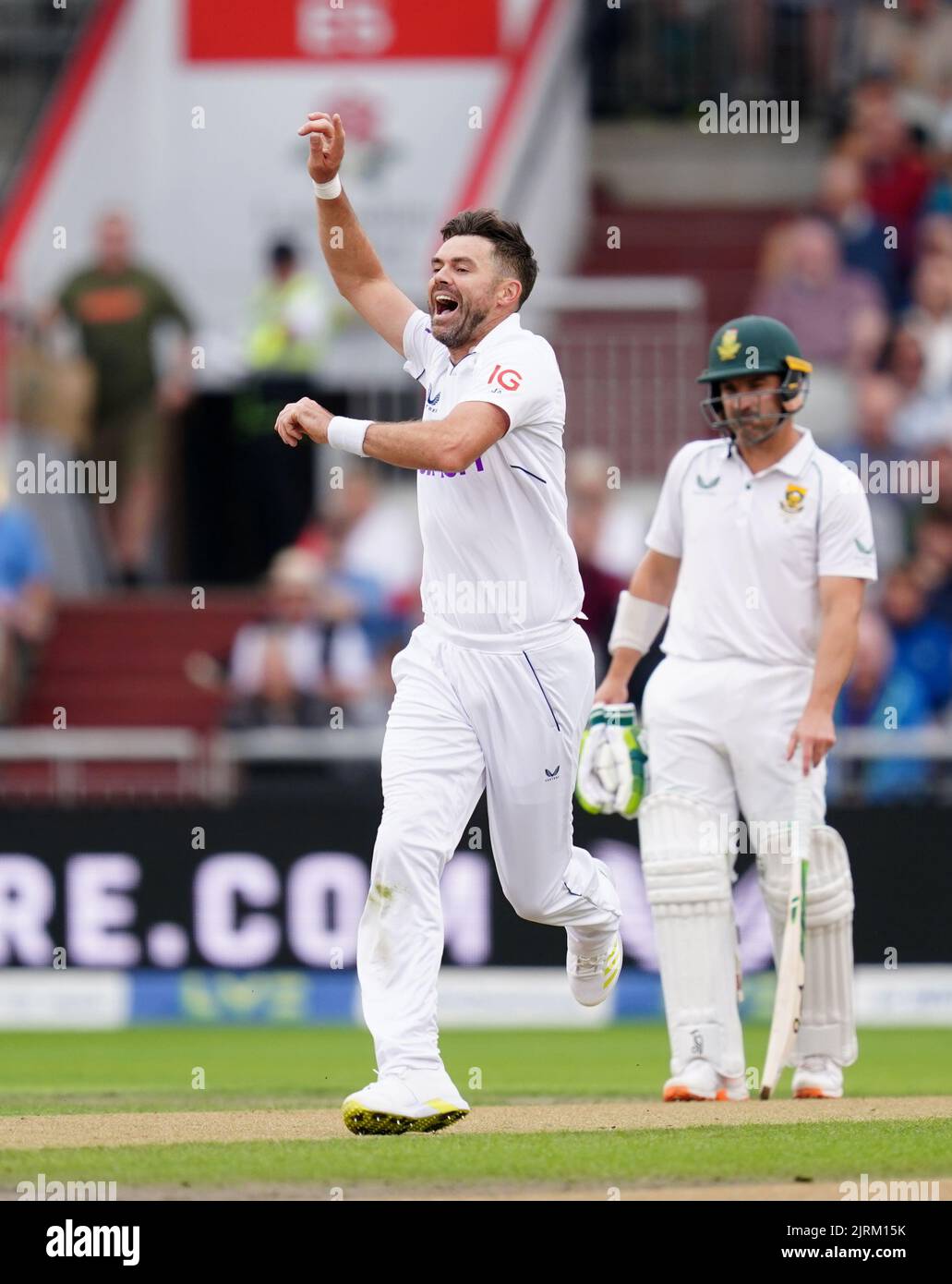 England's James Anderson celebrates taking the wicket of South Africa ...