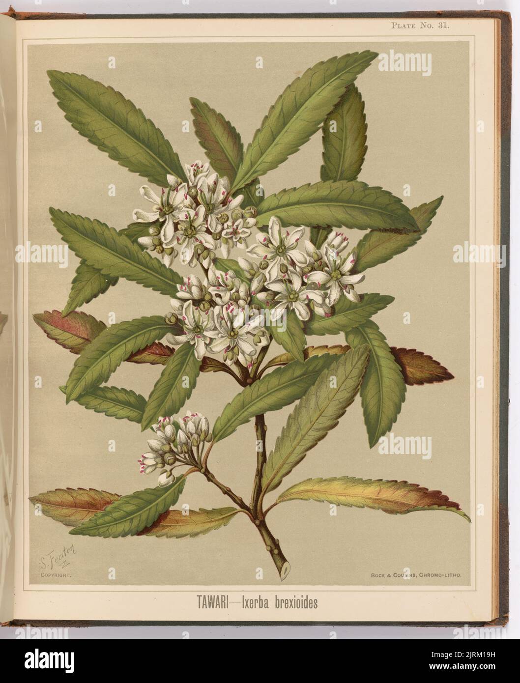 Sarah bock hi-res stock photography and images - Alamy