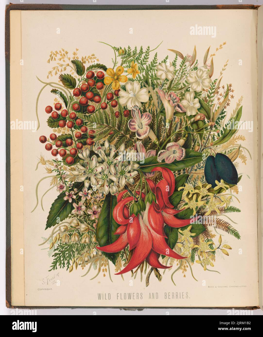 Sarah bock hi-res stock photography and images - Alamy