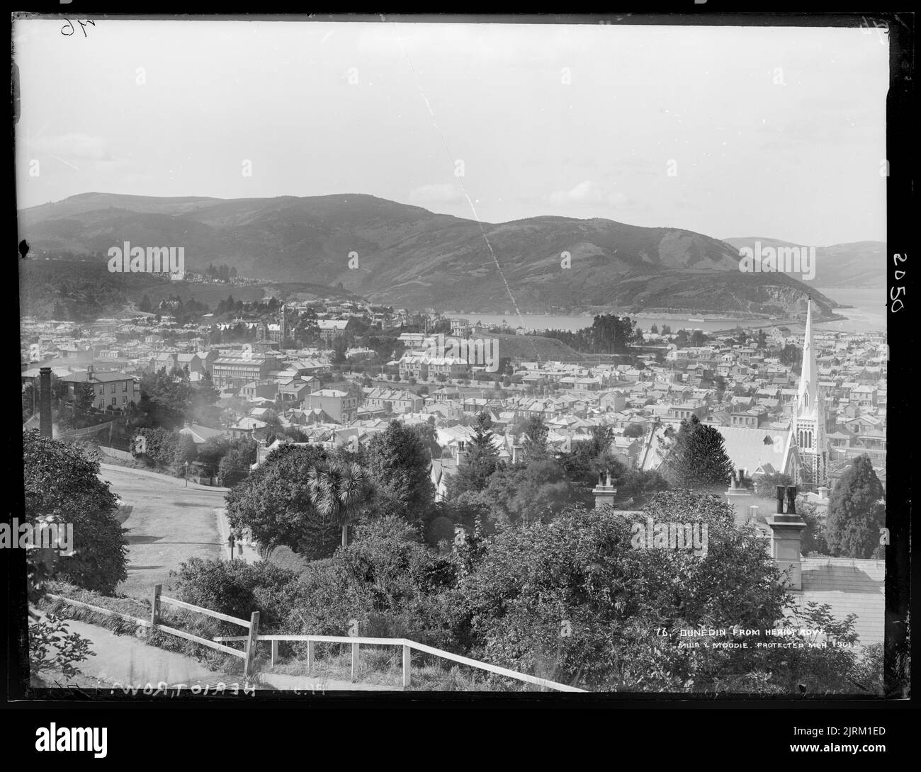 Dunedin from Heriot Row, circa 1901, Dunedin, by Muir & Moodie Stock ...