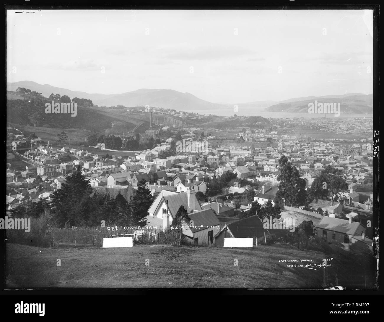Dunedin caversham hi-res stock photography and images - Alamy