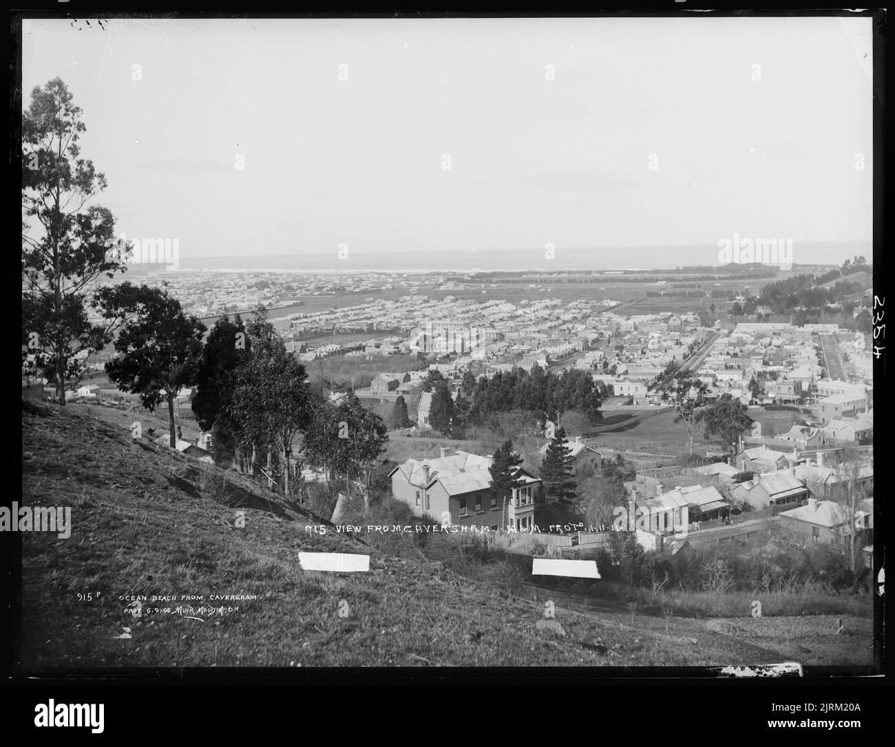 Ocean Beach from Caversham, circa 1905, Dunedin, by Muir & Moodie Stock ...