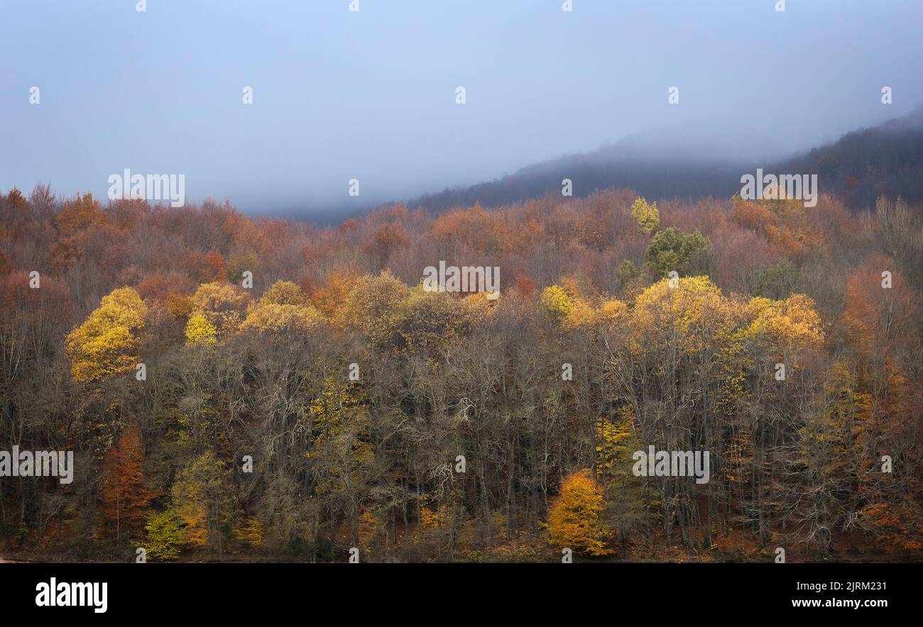 Beautiful Autumn Landscape at Montseny Natural Park, Catalonia ...
