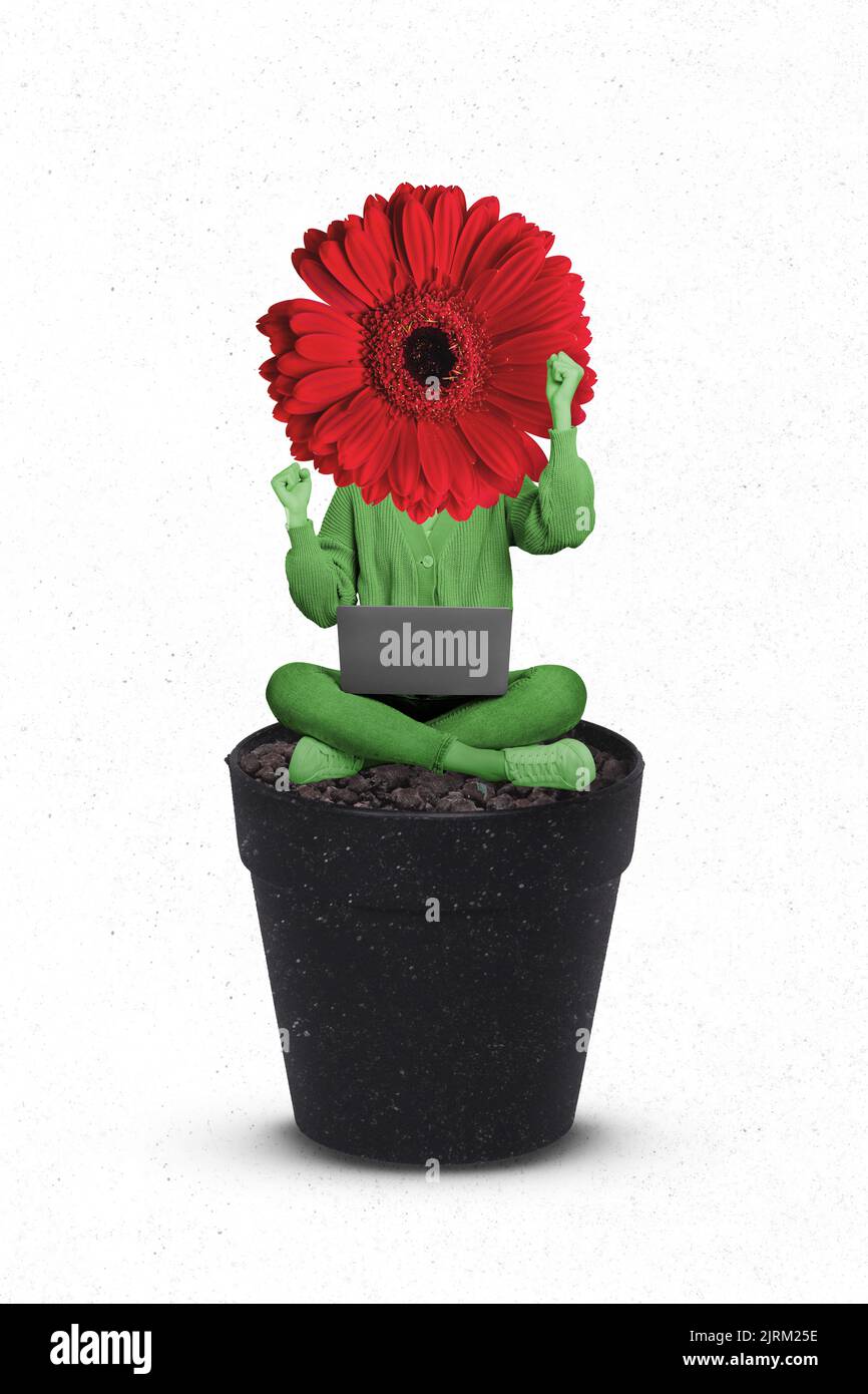 Exclusive painting magazine sketch image of funny funky human plant ...