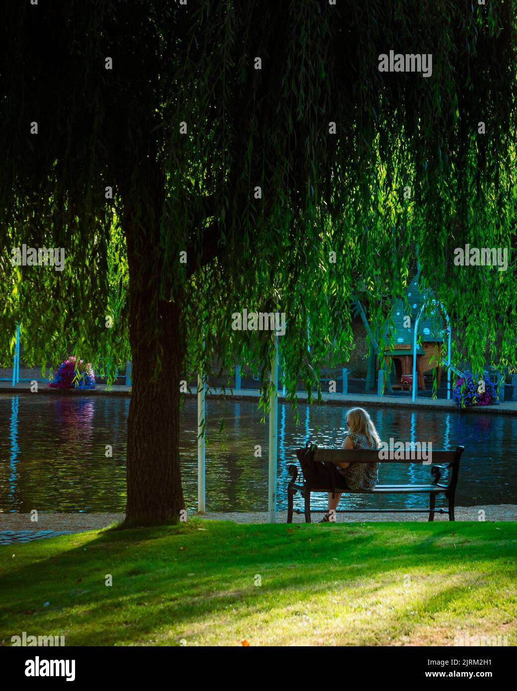 Under the willow tree hi-res stock photography and images - Alamy