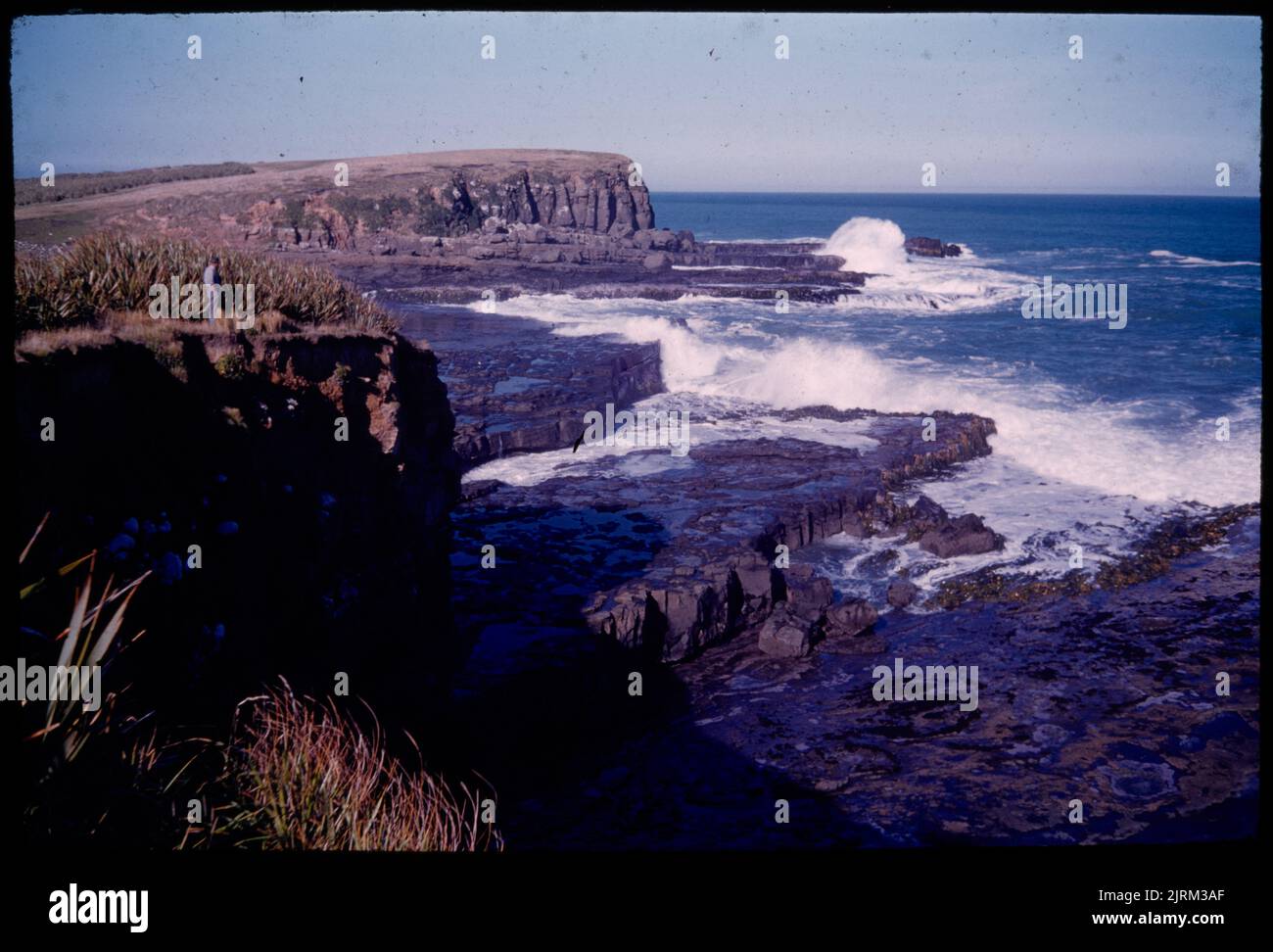 North head from middle of the embayment curio bay hi-res stock ...