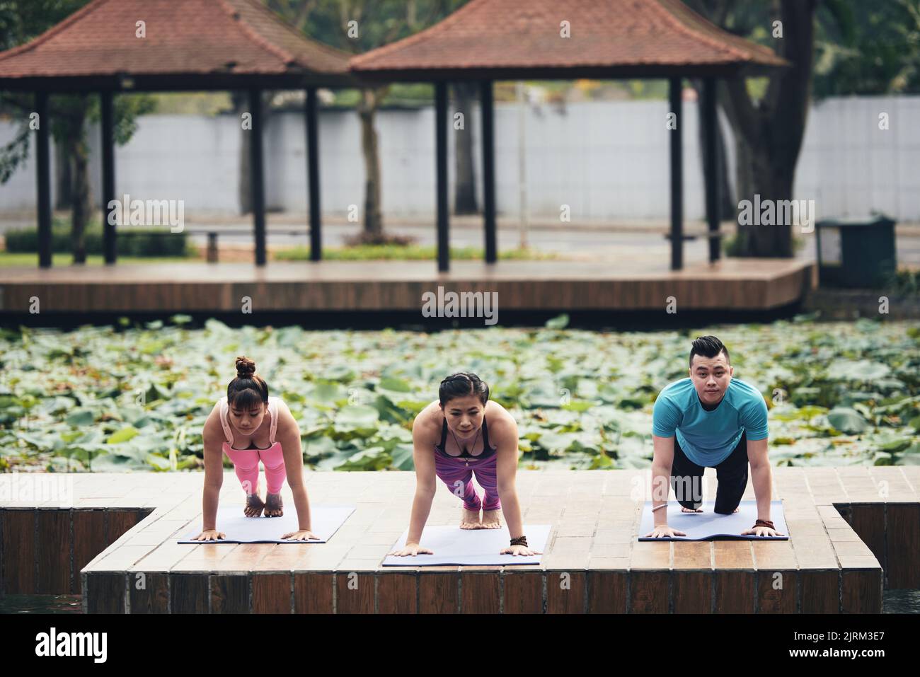 Group of Vietnamese young people doing plank together outdoors Stock Photo - Alamy