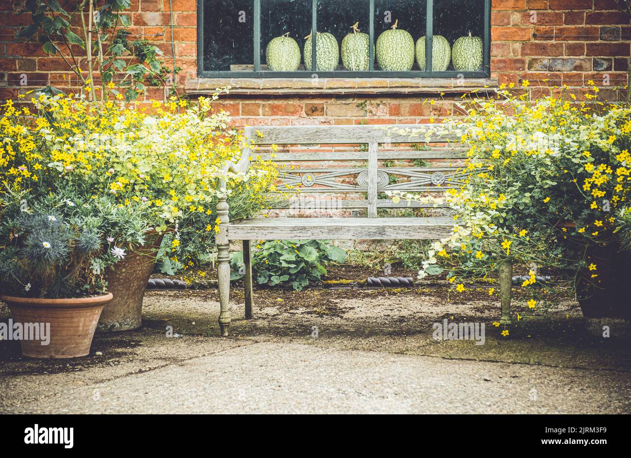 Seasonal water melons ripening in a crittle window at Eythrope Gardens ...