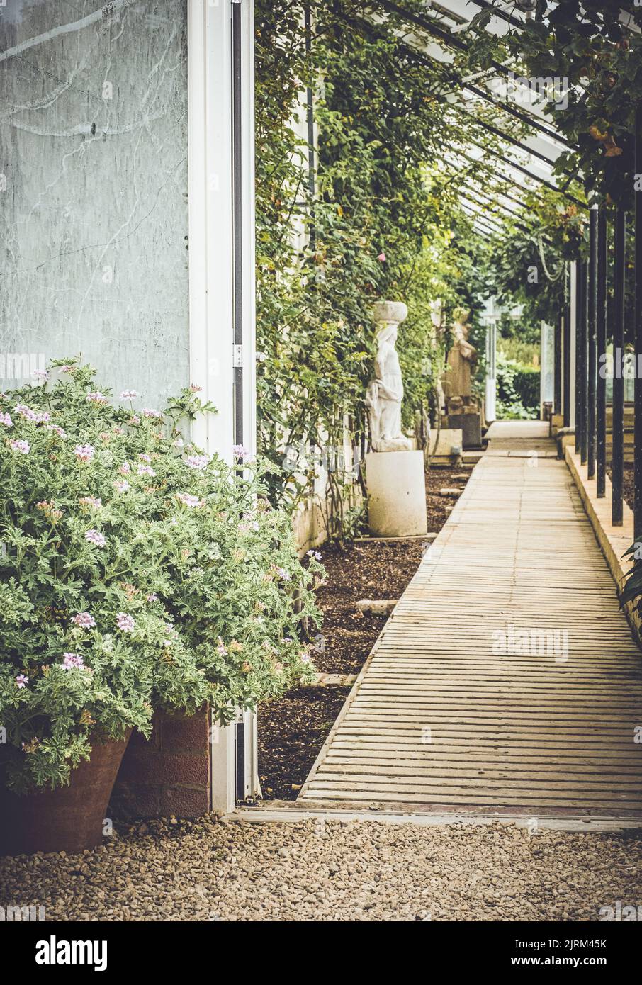 The elegant Victorian greenhouses at Eythrope Gardens on the Waddesdon ...