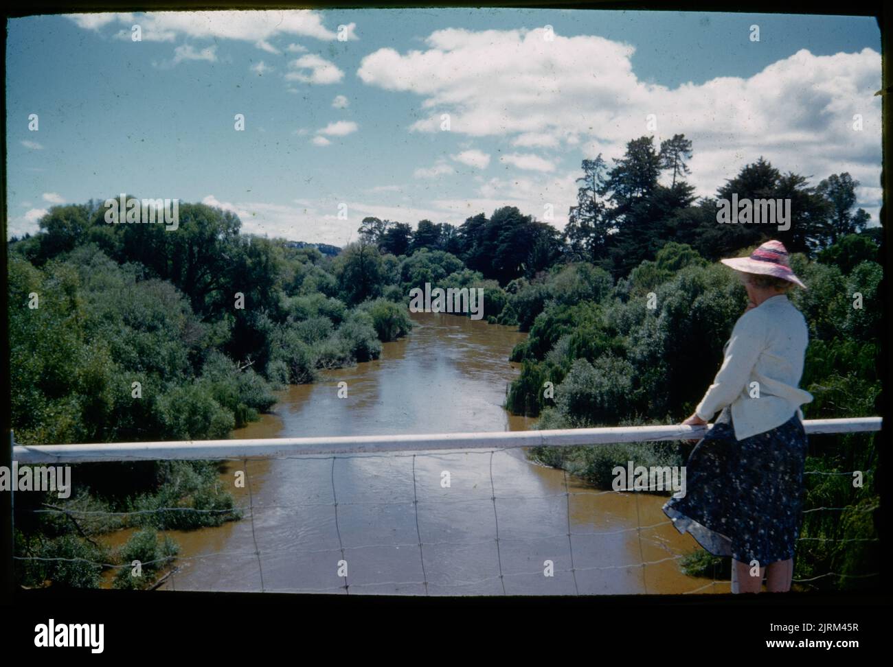 Bridge over the waipa river near pirongia village hi-res stock ...