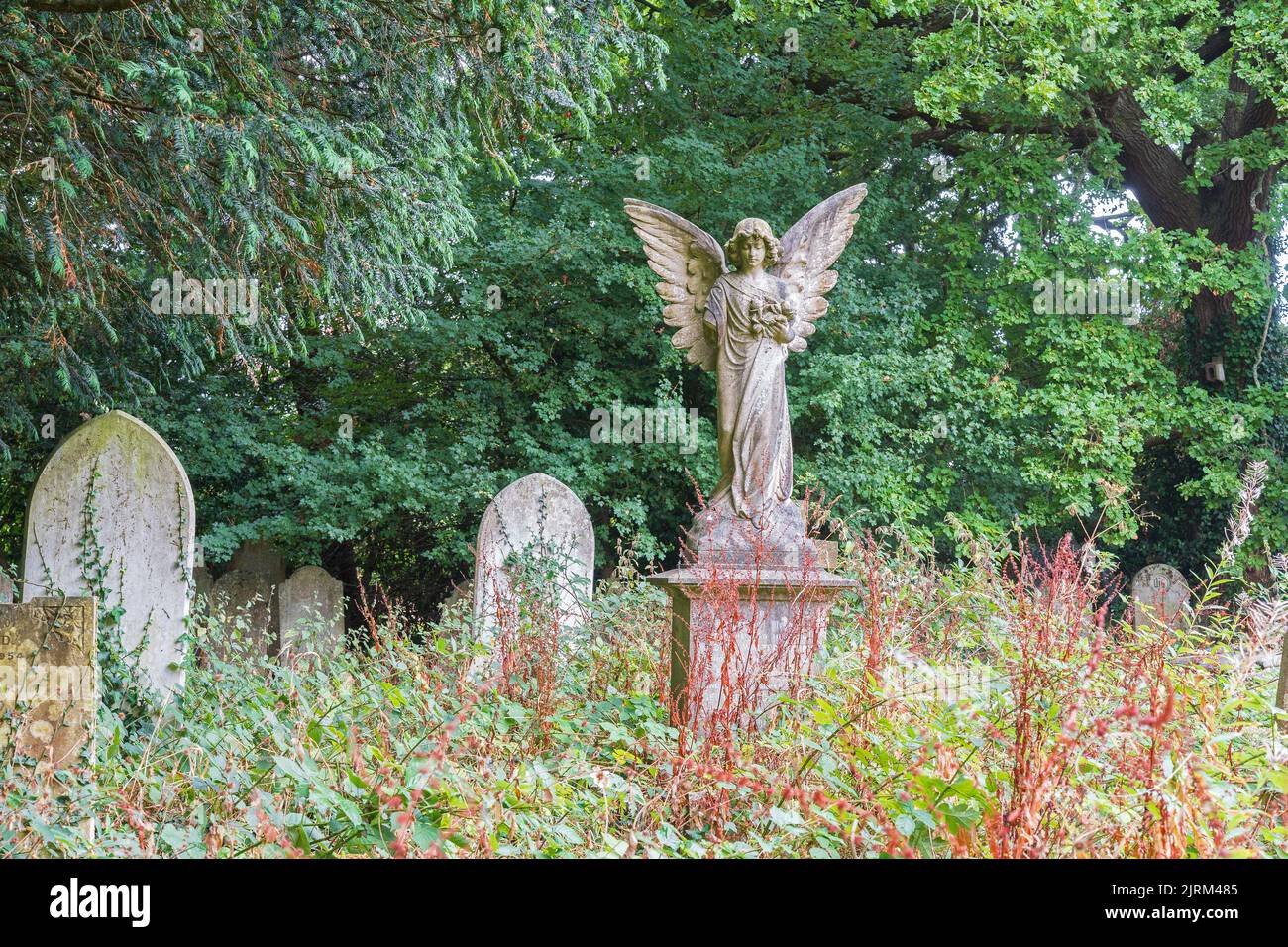 Angel headstone in Th Old Cemetery, Southampton, UK Stock Photo - Alamy