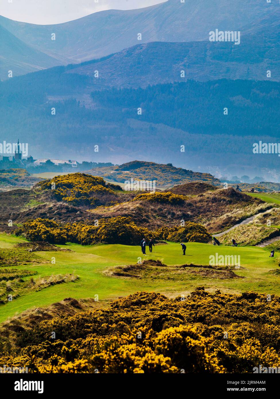 The Royal County Down Golf Course, Newcastle, Northern Ireland Stock ...