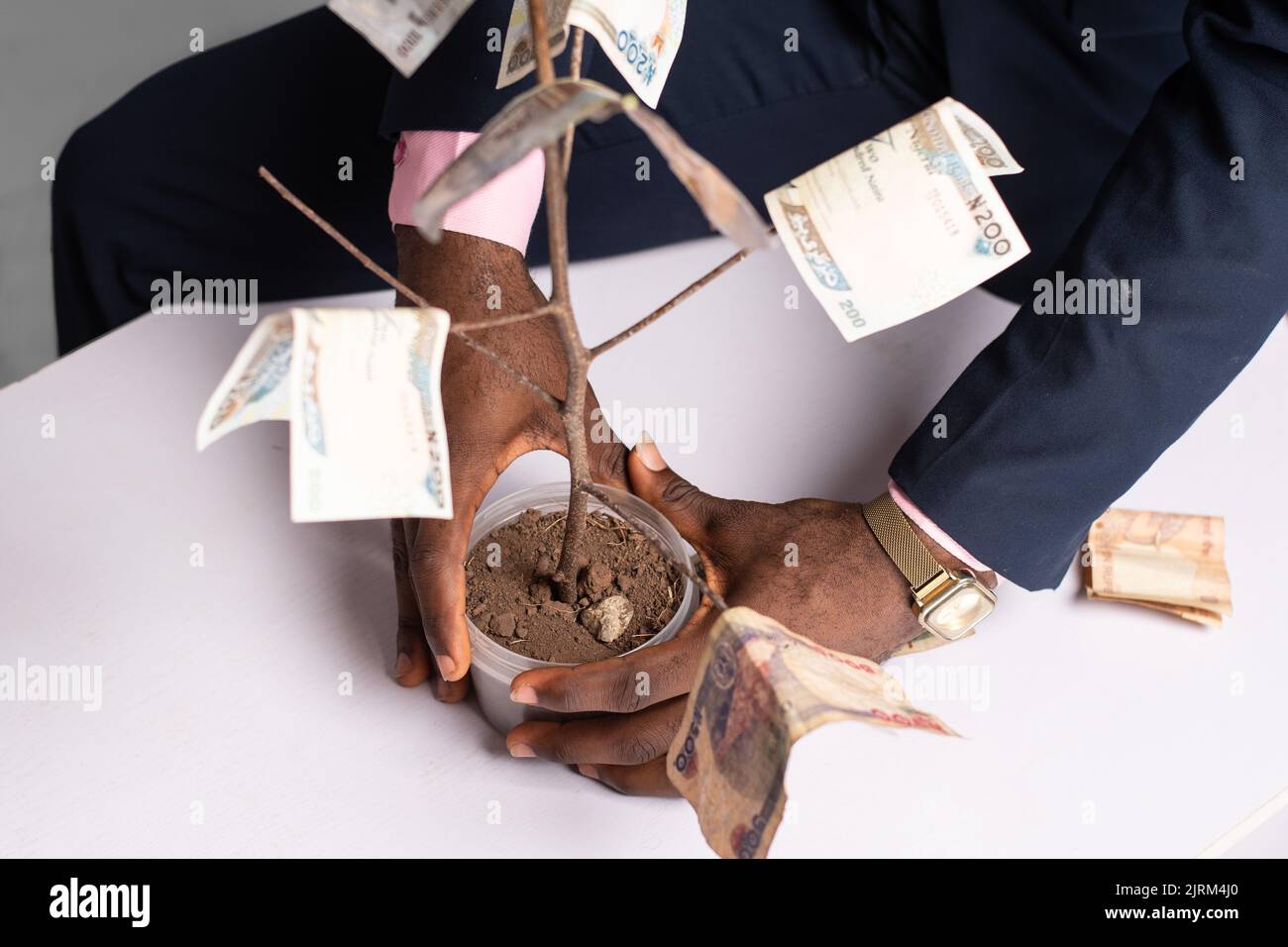black man holding money tree Stock Photo - Alamy