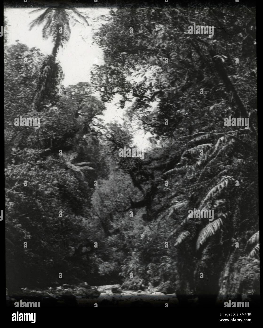 In gorge of ohau river above cleared part of valley hi-res stock ...