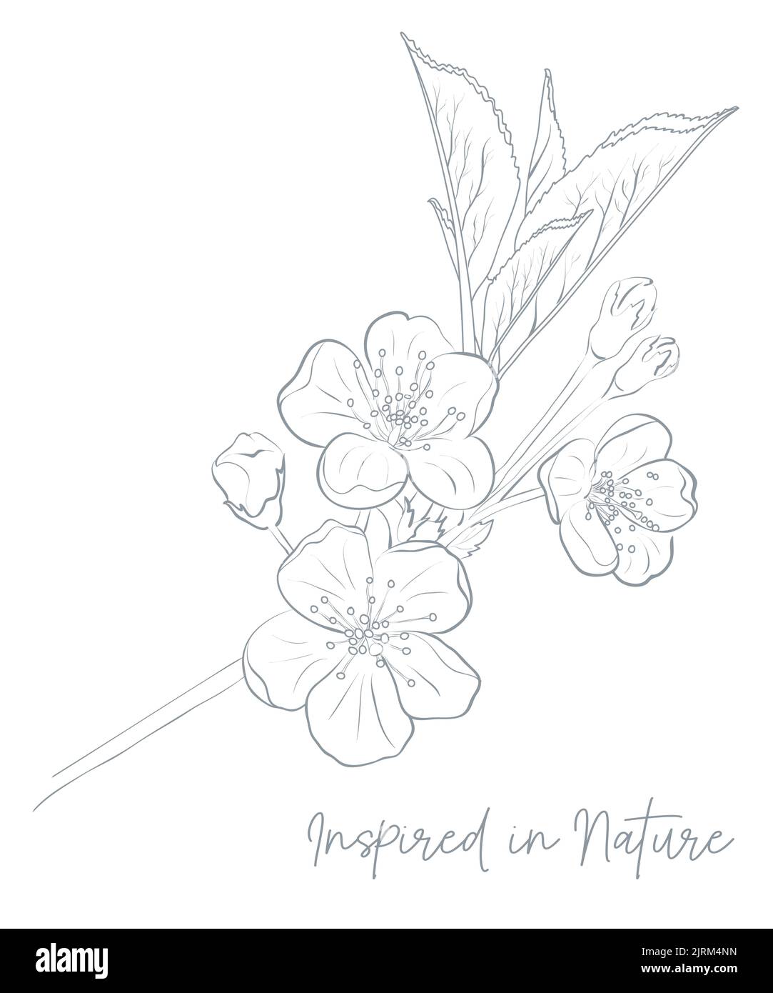Apple blossoms inspired by nature - print for t-shirt, poster, sticker ... Apple blossoms inspired by nature - print for t-shirt, poster, sticker ...