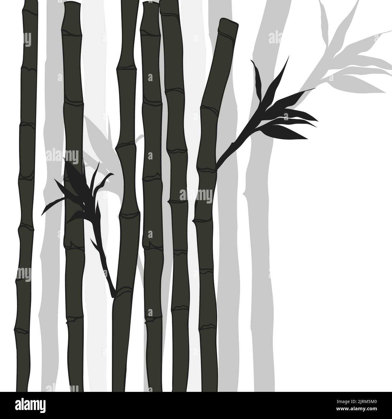 Hand-drawn bamboo background with space for text Stock Vector Image ...