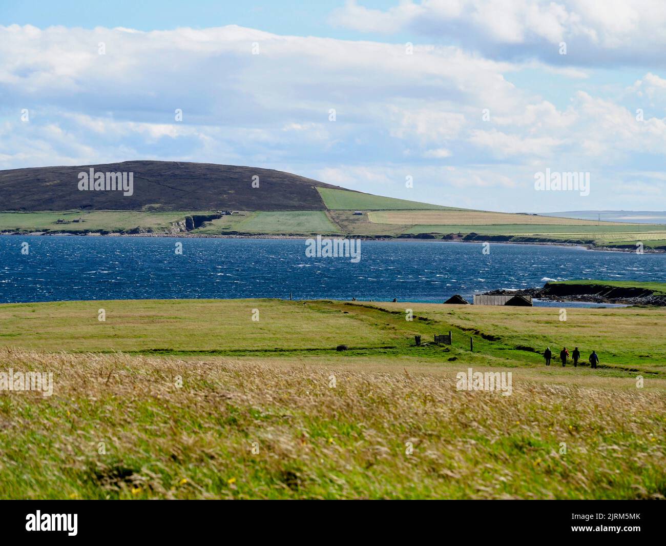 Faray orkney hi-res stock photography and images - Alamy