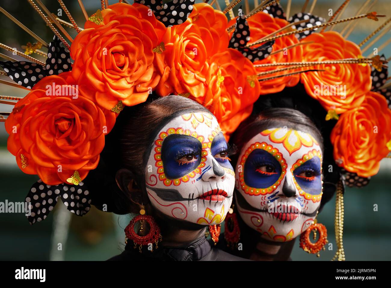 Arely Araujo's Instagram, Twitter & Facebook on IDCrawl