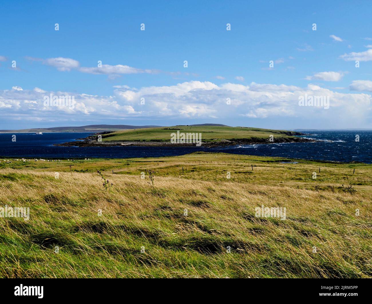 Faray orkney hi-res stock photography and images - Alamy