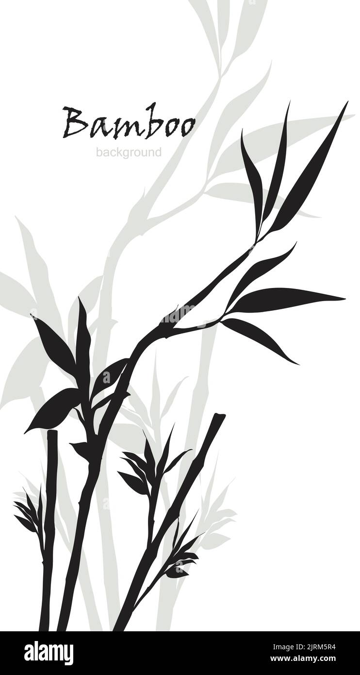 Hand-drawn bamboo background with space for text Stock Vector Image ...