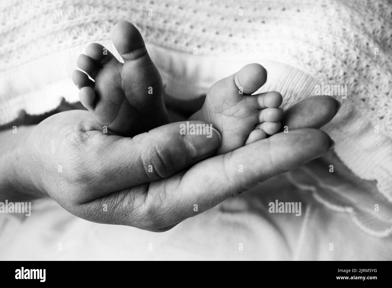 Parents' palms. Father and mother hold the legs of a newborn baby Stock ...