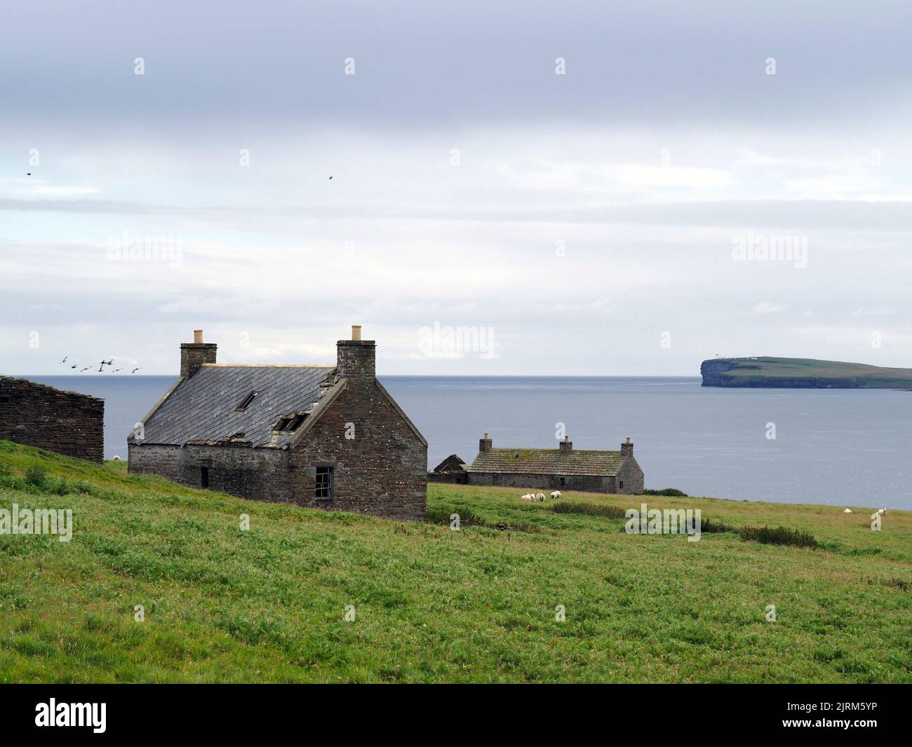 Abandoned houses, Stroma, Scotland Stock Photo - Alamy
