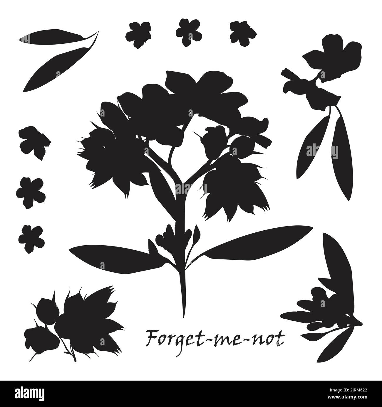 Forget me not wall decor Stock Vector Images - Alamy